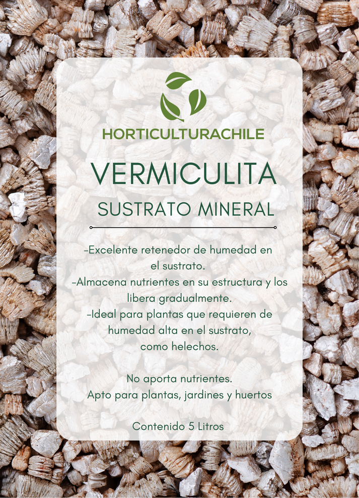 VERMICULITA 5 LITROS – Horticulturachile
