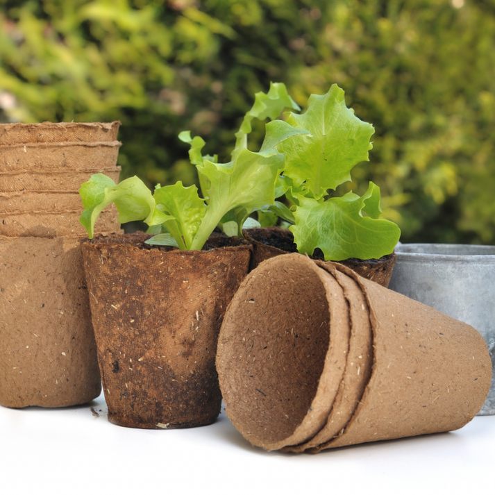 Pack 20 Vasos germinadores de semillas – Horticulturachile